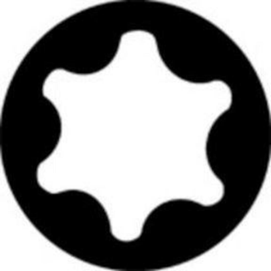 BAHCO 6709TORX-T25 screwdriver socket spanner 1/4" square Torx T25 | Klium