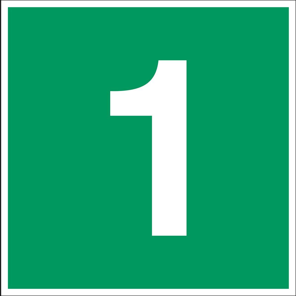 BRADY 250457 rescue pictogram - level indicator 1, 148 x 148 mm | Klium
