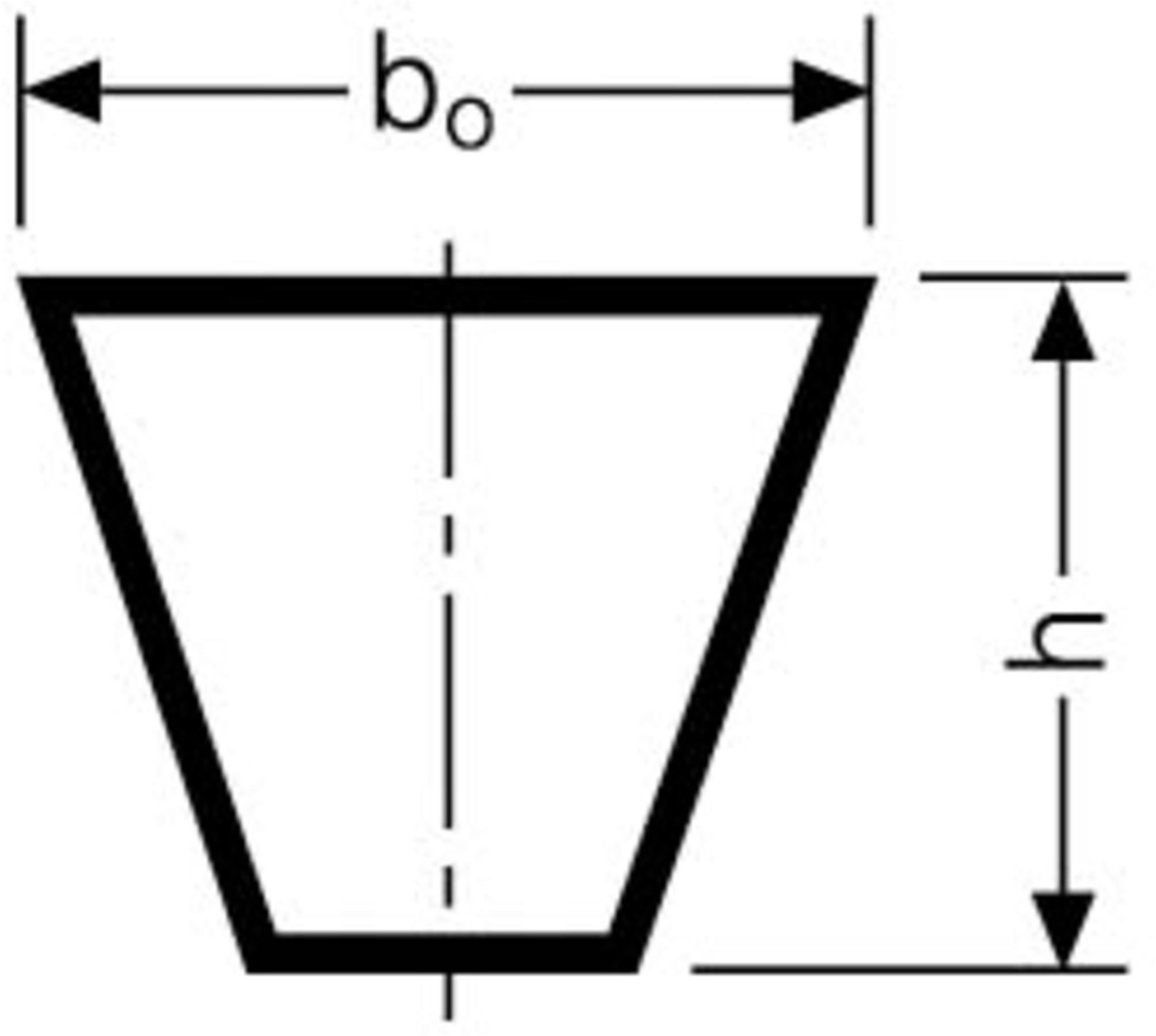 CONTI SPB5000 CONTI V-belt SPB 5000 | Klium