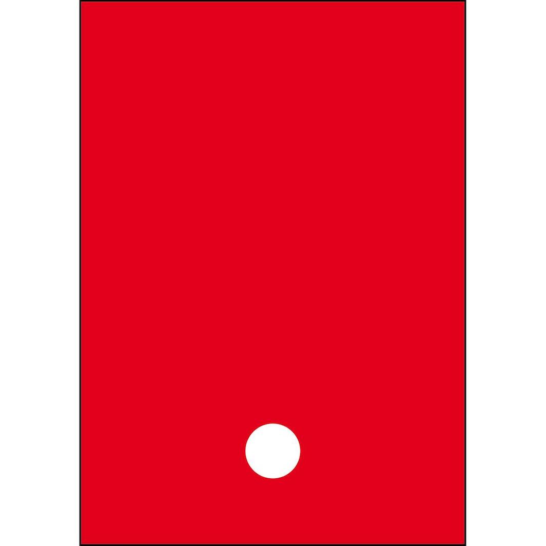 BRADY NL859A4RD-Dot Tag with tip, white on red, DIN A4 size for ...