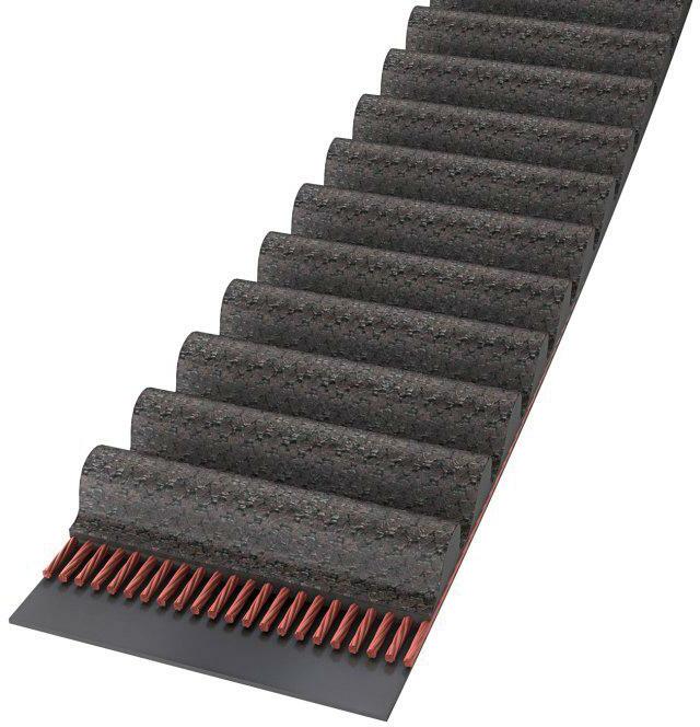 CONTI HTD 1200 8M 20 CXP Courroie de distribution Conti Synchroforce ...