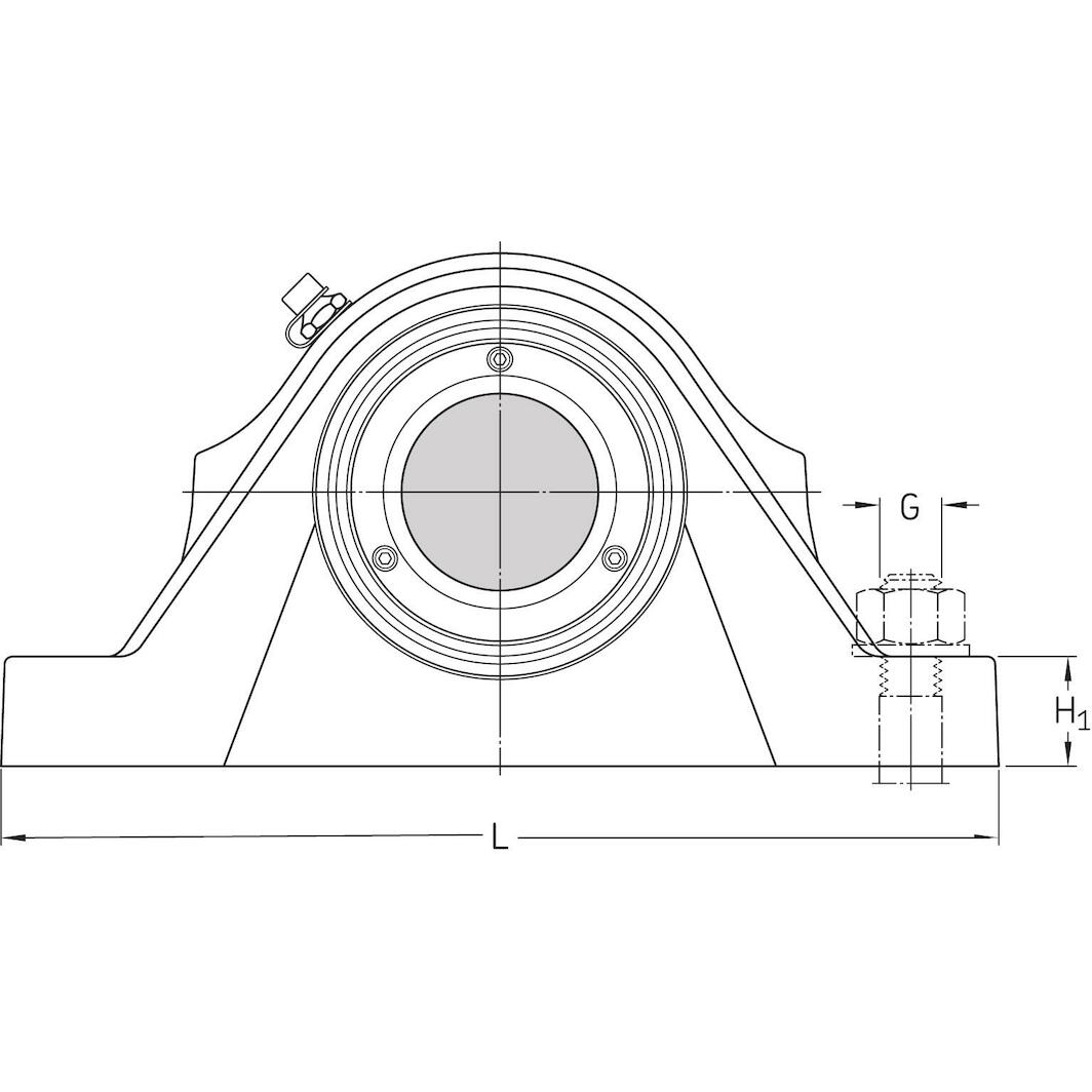 SKF SYNT 75 LTS standing roller bearing unit with two bolts 75 mm | Klium