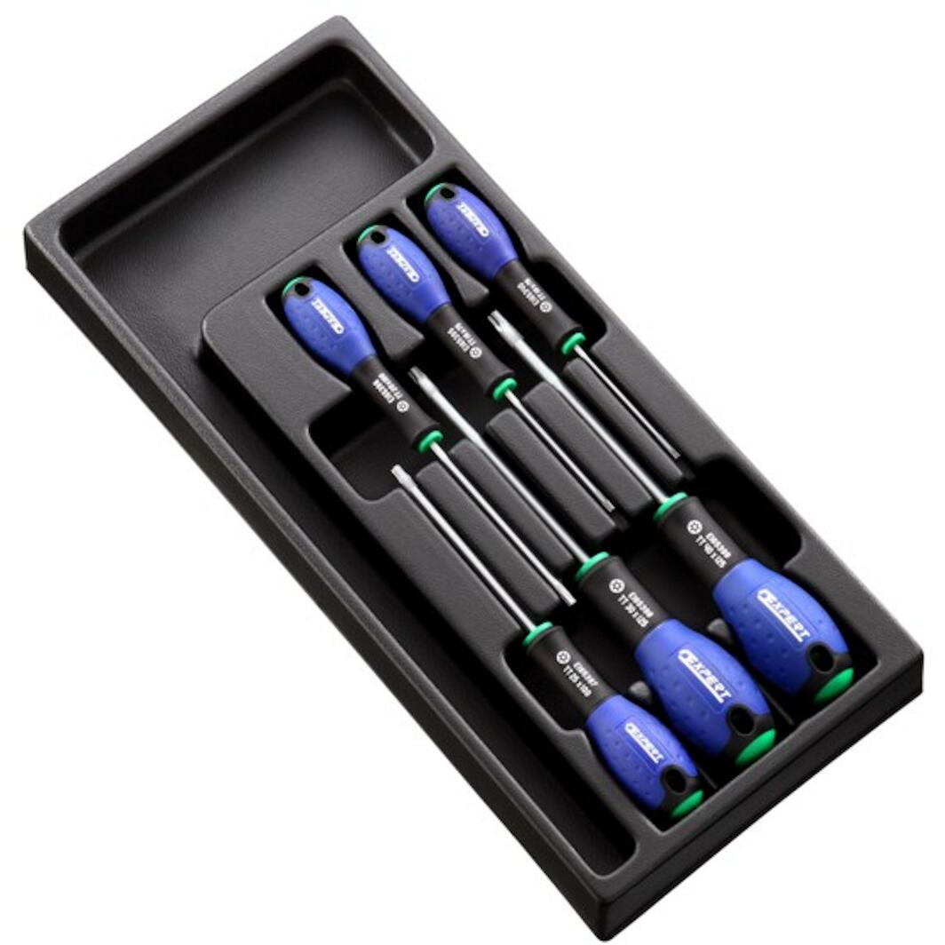 EXPERT E194941 module with Resistorx screwdrivers 6-piece | Klium