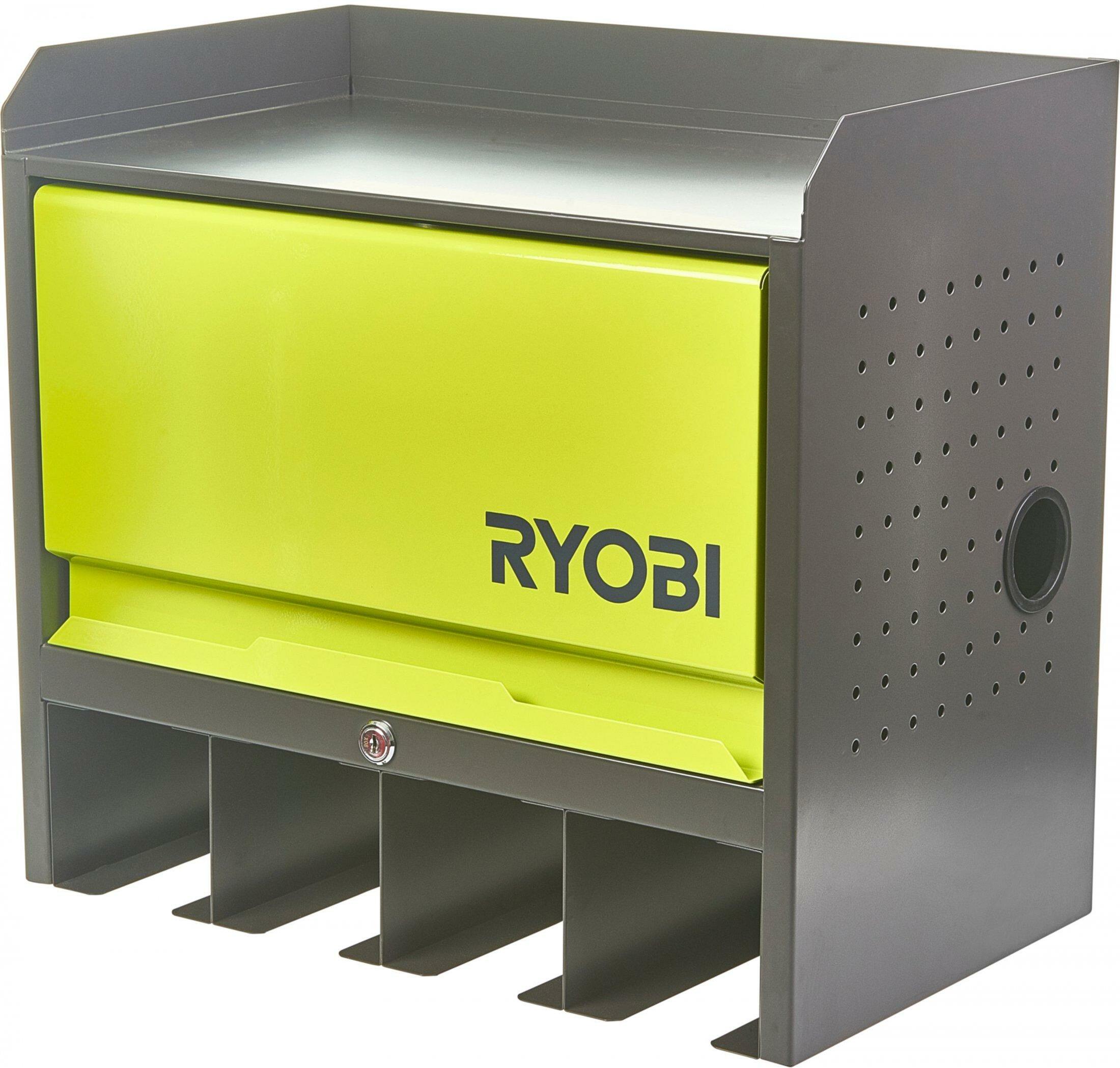 RYOBI RHWS-01 garage wall storage cabinet with door - 5132004358 | Klium