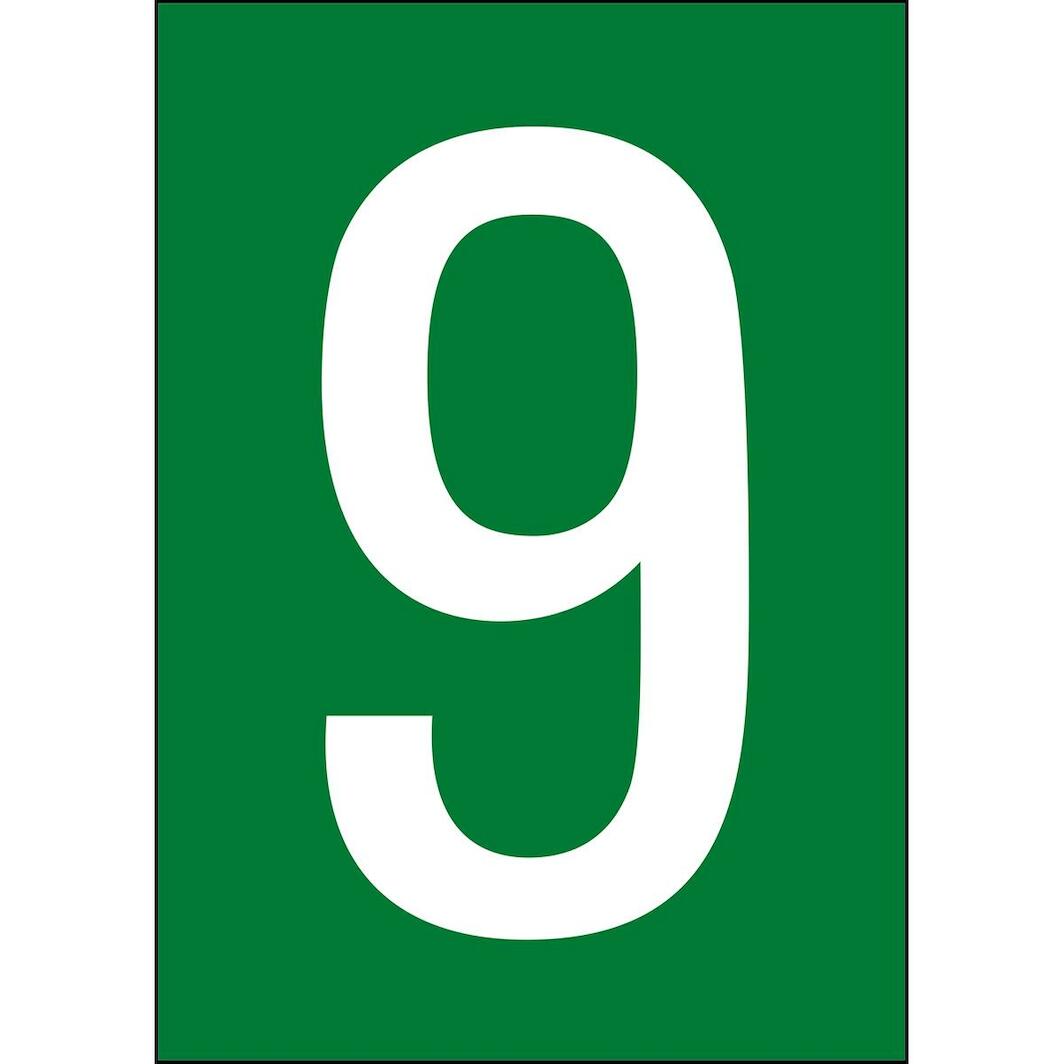 BRADY NL859A4GR-9 label with number 9 - DIN A4 format for permanent or ...