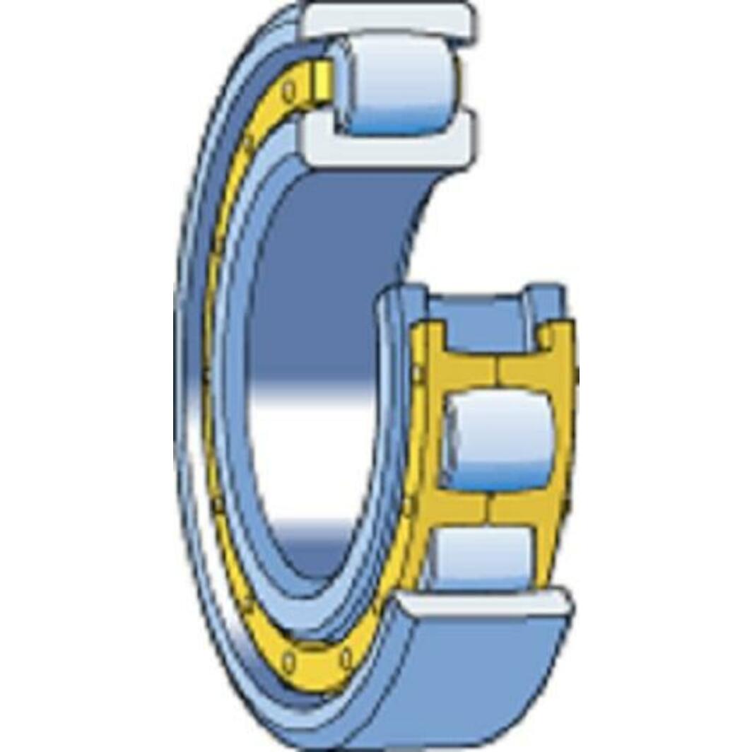 SKF SRV.20212 TN9 single-row cylindrical roller bearing 60 x 110 x 22 ...