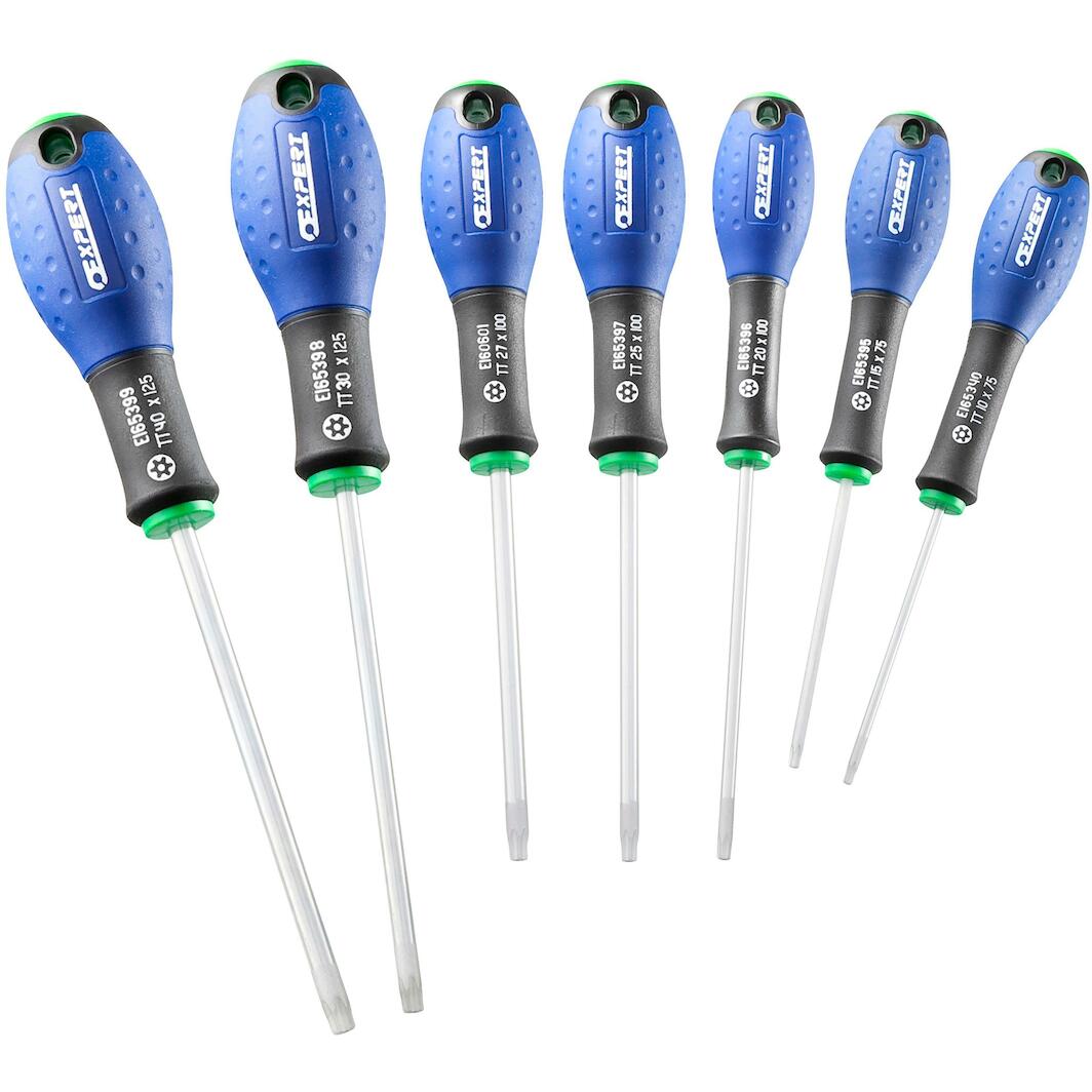 EXPERT E160909 screwdriver set Resistorx 7-piece | Klium